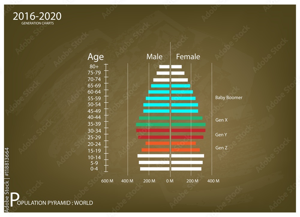2016-2020 Population Pyramids Graphs with 4 Generation Stock Vector ...