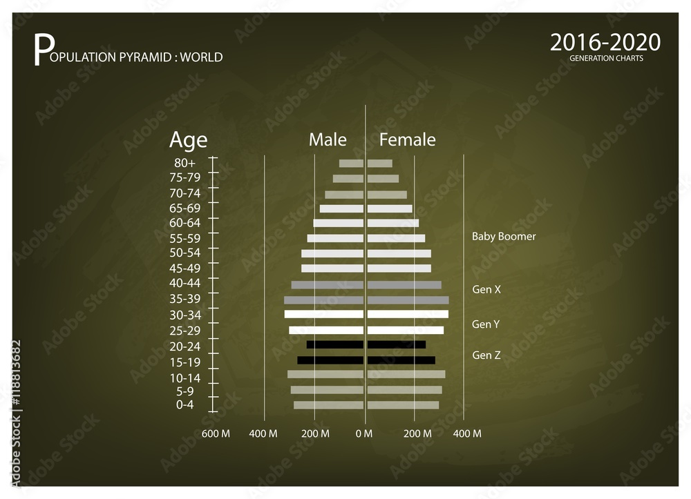 2016-2020 Population Pyramids Graphs with 4 Generation Stock Vector ...