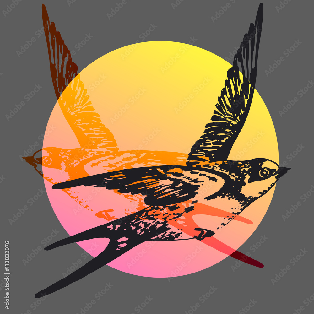 Vector hand drawn swallow bird abstract illustration. Flying swift ...