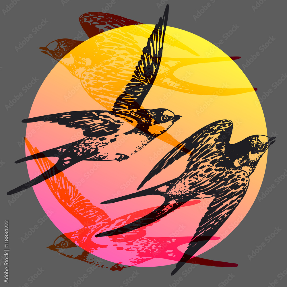 Vector hand drawn swallow bird set abstract illustration. Flying pair ...