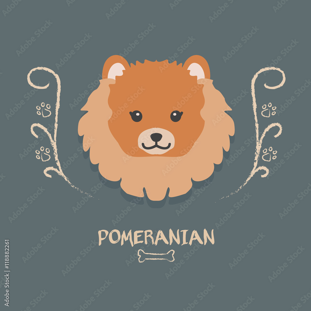 Funny pomeranian vector illustration. Cute cartoon portrait of a dog ...