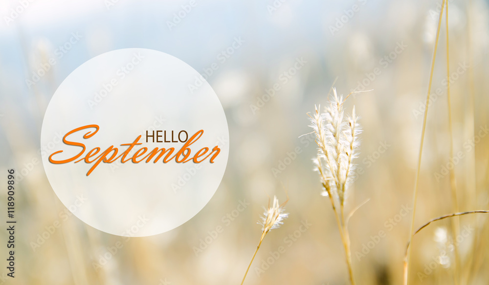 Hello September wallpaper, autumn background Stock Illustration | Adobe ...