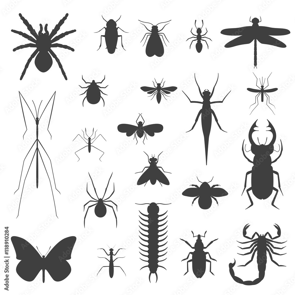 Silhouettes, icons of different insects. Stock Vector | Adobe Stock