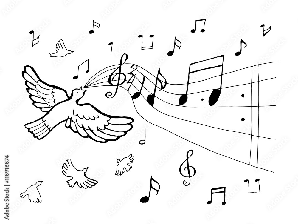 Music Bird Drawing