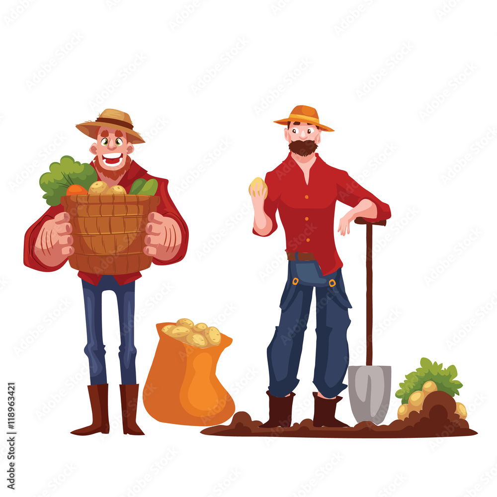 Man harvesting potato in the field, cartoon style vector illustration ...
