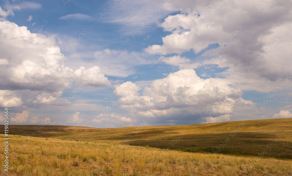 Upland bunchgrass prairie with blue sky and clouds Stock Photo | Adobe ...