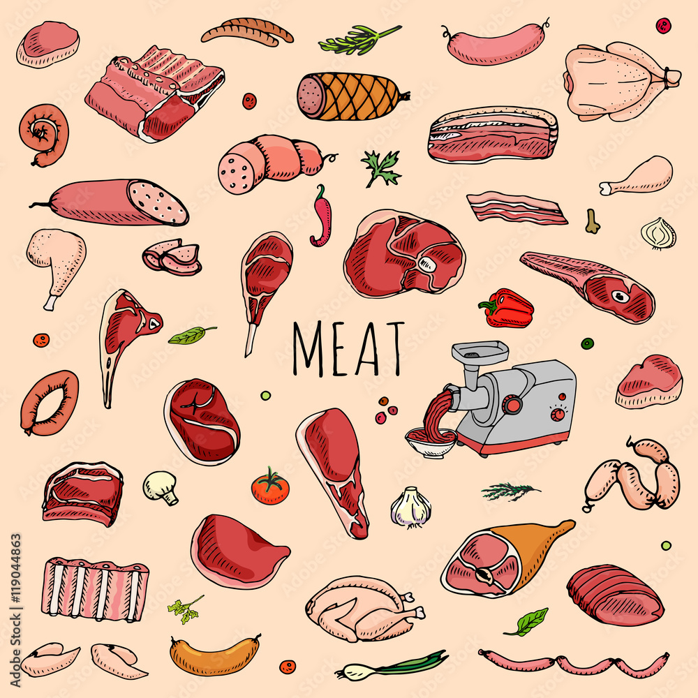 Hand drawn doodle set of cartoon different kind of meat and poultry ...
