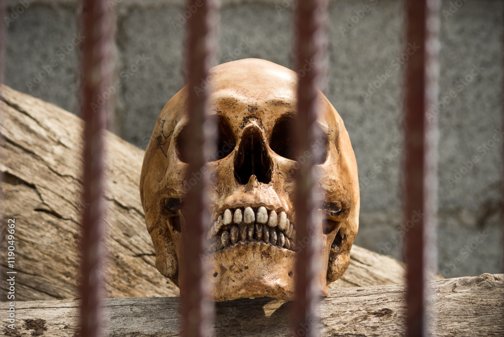 Human skull behind iron bars in prisoner concept Stock Photo | Adobe Stock
