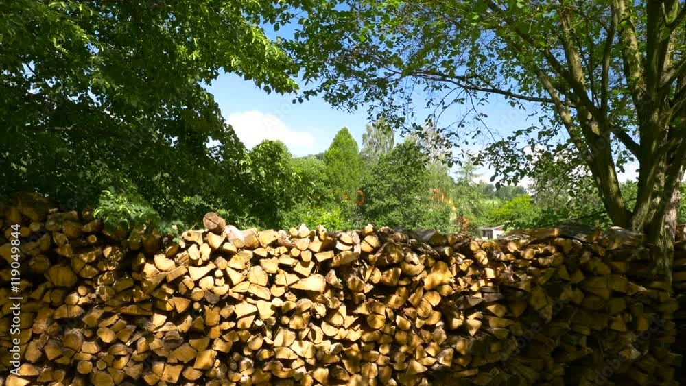 Stack of firewood between trees in summer. Nature Background. Clip ...