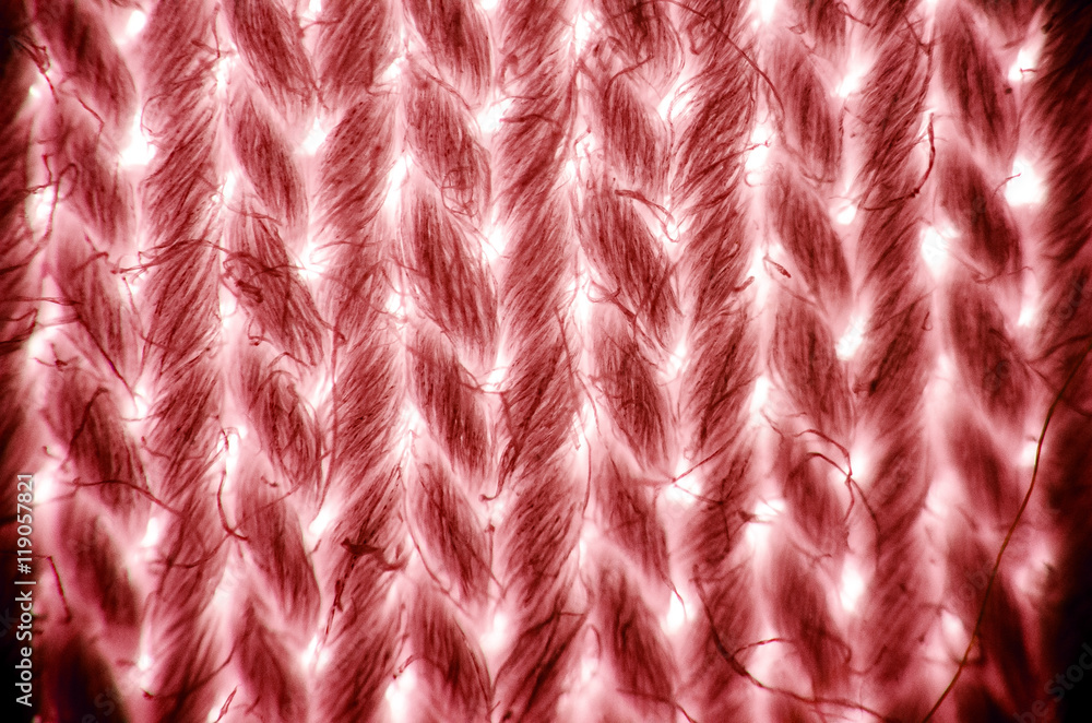 Cotton textile under microscope, light micrograph, magnification 40x ...