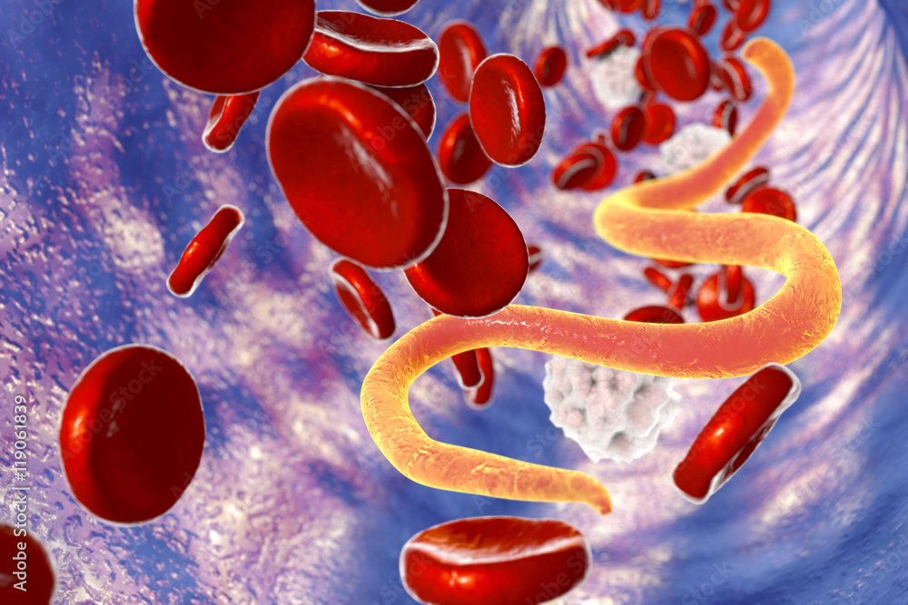 Parasitic worms in blood, 3D illustration. Can be used to illustrate ...