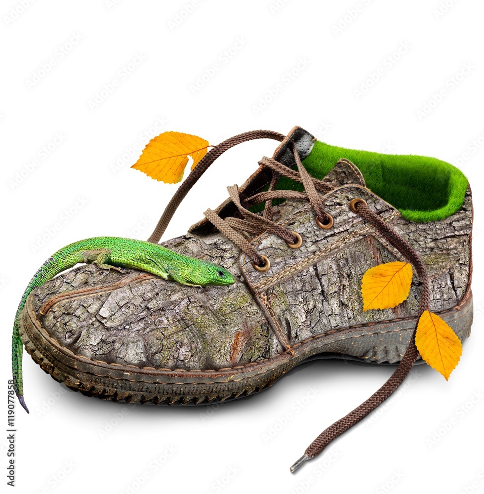 Concept Eco friendly shoes. go green. think green. Shoes made of ...