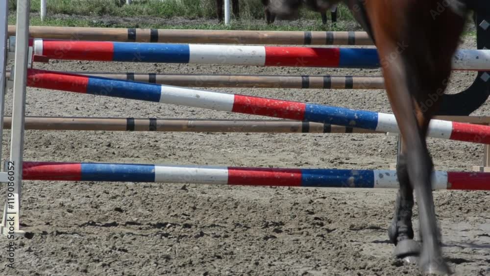 Horse Jumping Obstacles Stock Video | Adobe Stock