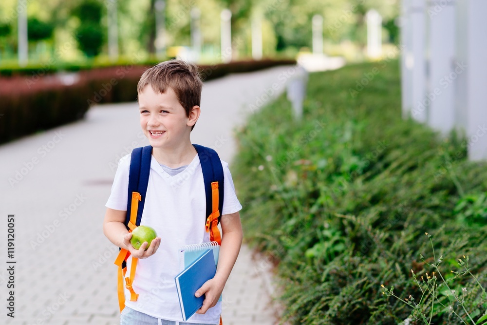 Happy little 7 years old boy at his first day at school Stock Photo ...