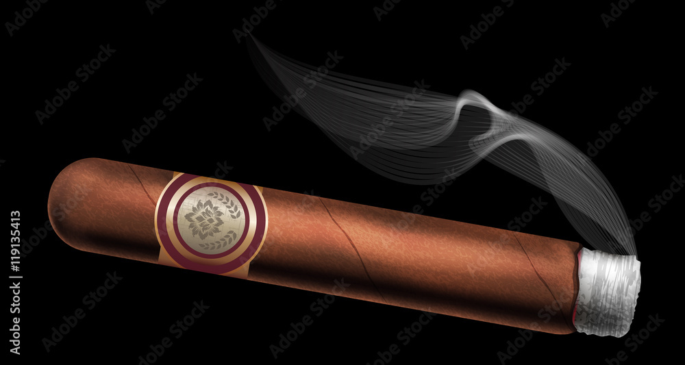 Cigar. Vector illustration. Stock Vector | Adobe Stock