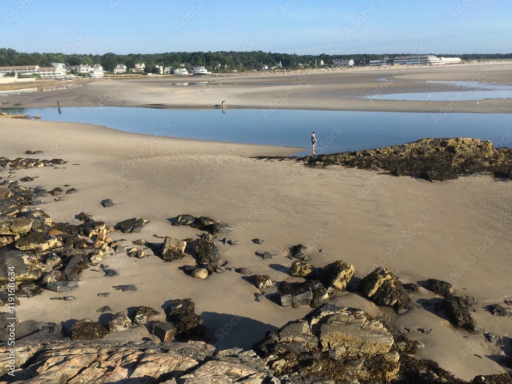 Ogunquit beach and river at moring low tide, Maine Stock Photo | Adobe ...