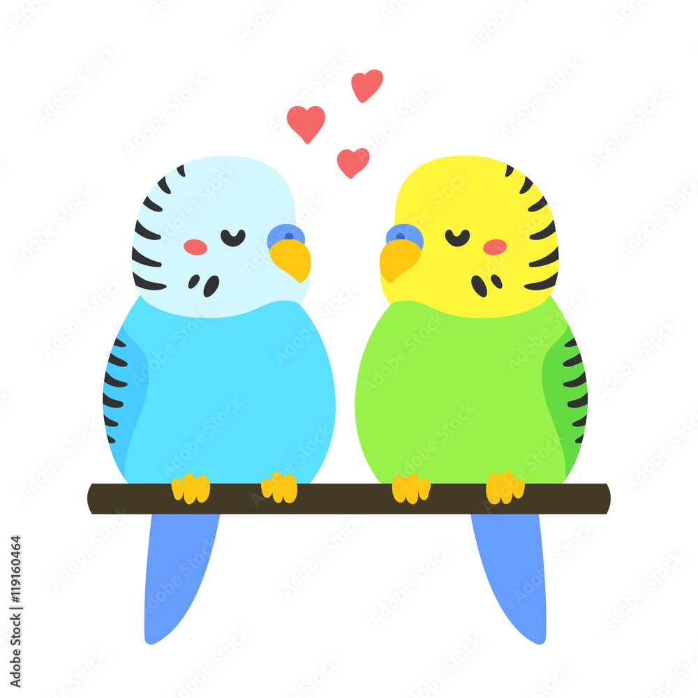 Cartoon Parakeets couple Stock Vector | Adobe Stock