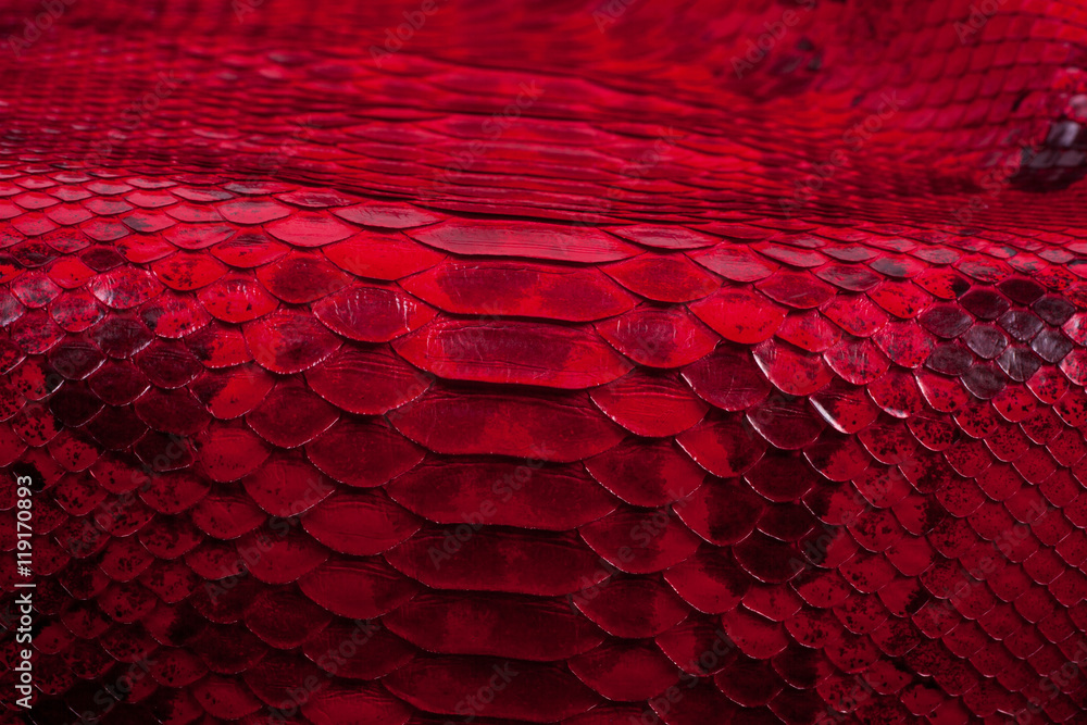 Red Snake Skin Texture