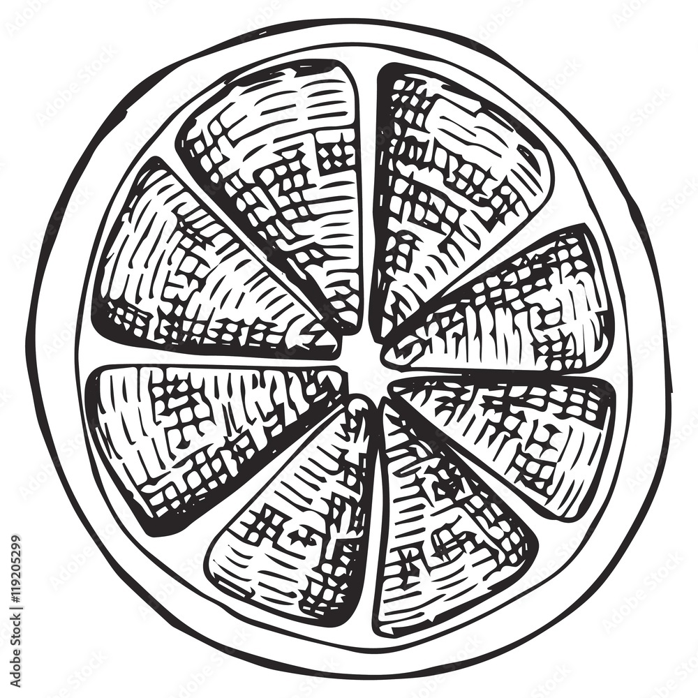 orange slice drawing Stock Illustration | Adobe Stock