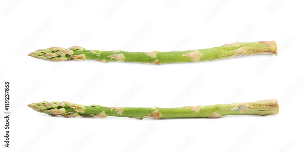 One Asparagus