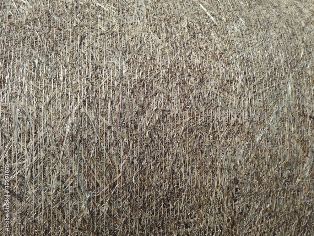 Texture of hay bale Stock Photo | Adobe Stock