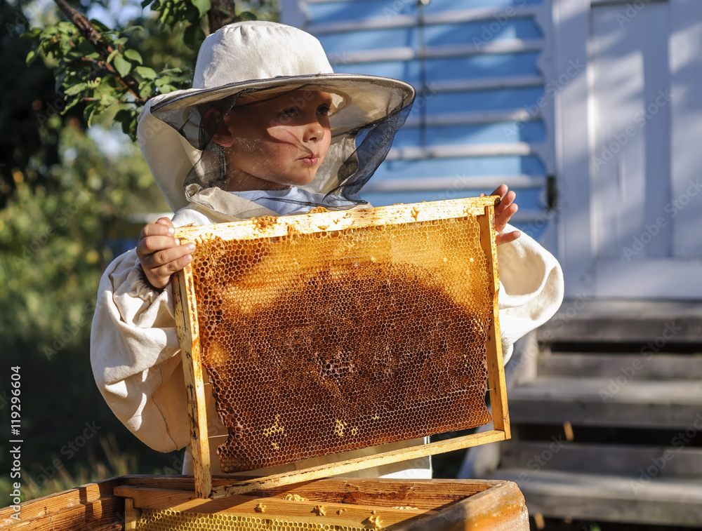 Young beekeeper boy holding frame of honeycomb Stock Photo | Adobe Stock