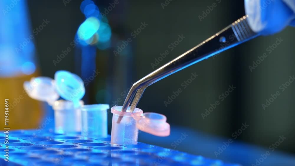 CSI laboratory scene of a fiber sample being placed in a vial and ...