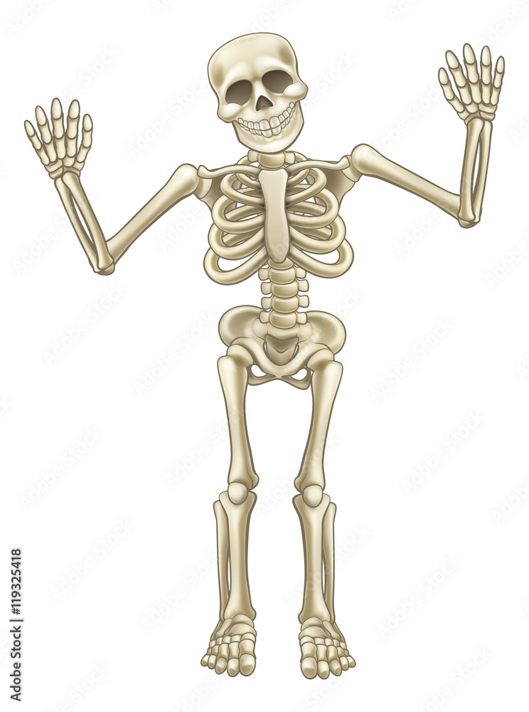 Cartoon Skeleton Character Stock Vector | Adobe Stock