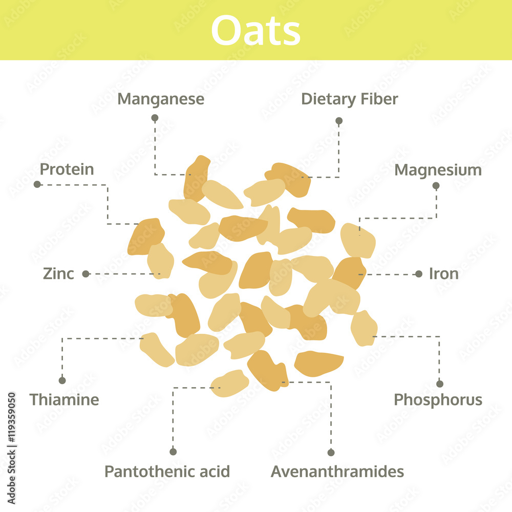oats nutrient of facts and health benefits, info graphic Stock Vector ...