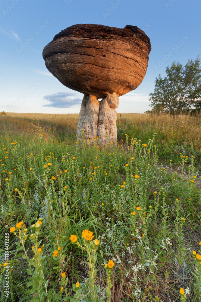 Mushroom Rock State Park in Kansas, USA Stock Photo | Adobe Stock