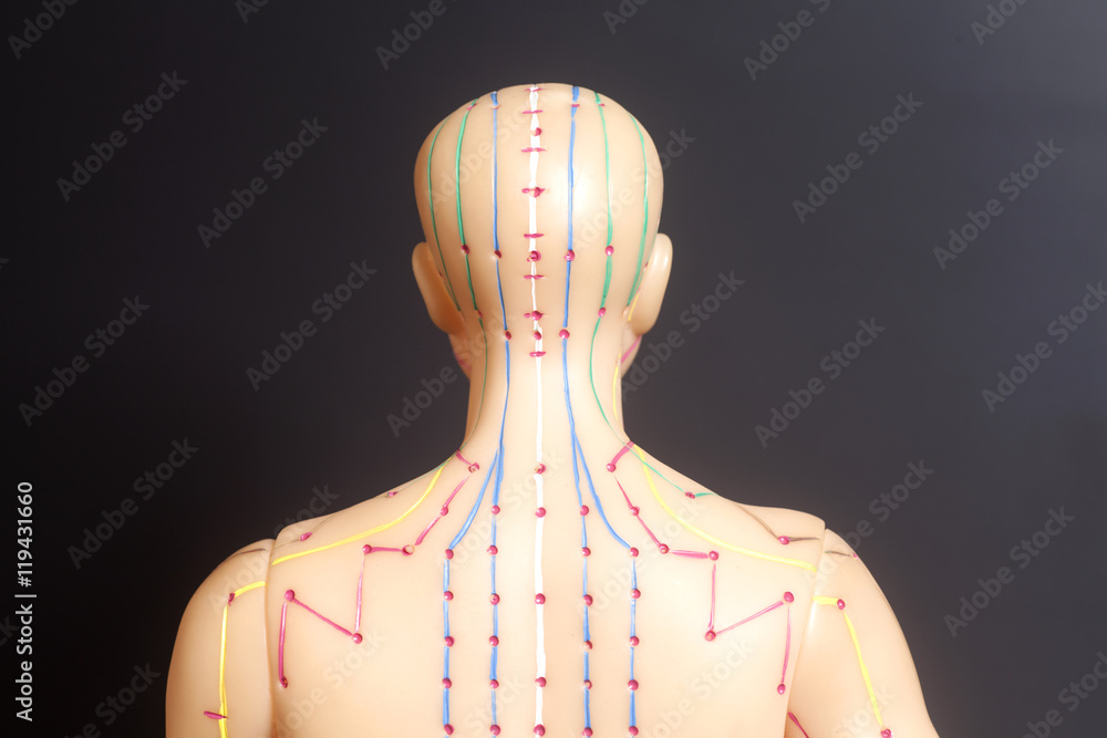 Medical acupuncture model of human on black background Stock Photo ...