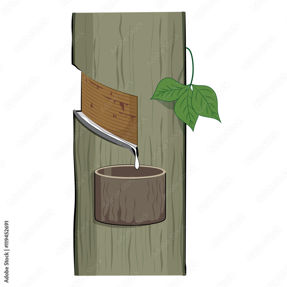 Natural latex dripping from a rubber tree (Hevea Brasiliensis) ,Vector ...