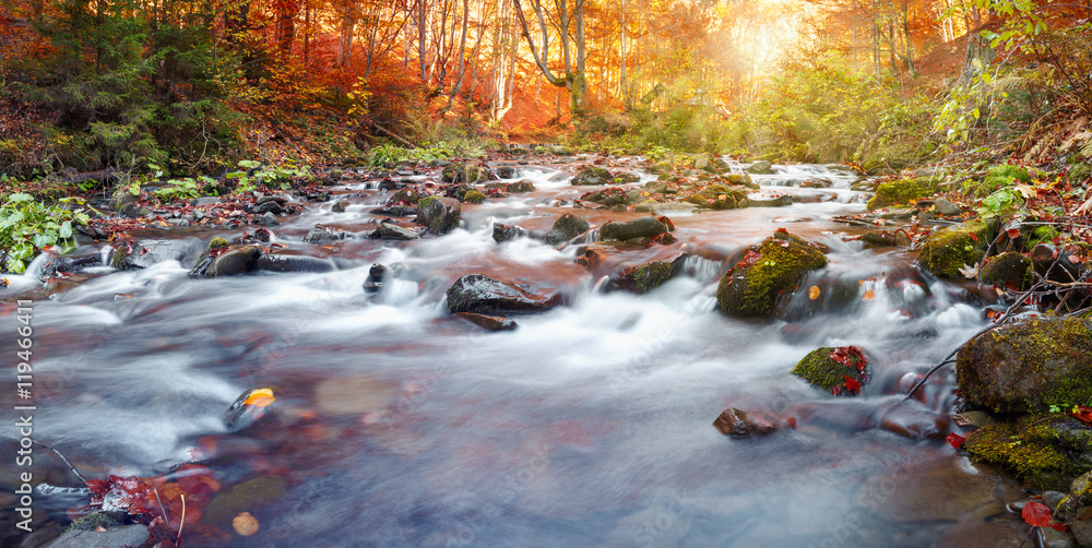 Autumn forest, mountain stream. Beautiful , rocks covered with moss ...