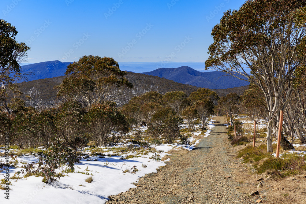Road to Mt Ginini Namadgi National Park Stock Photo | Adobe Stock