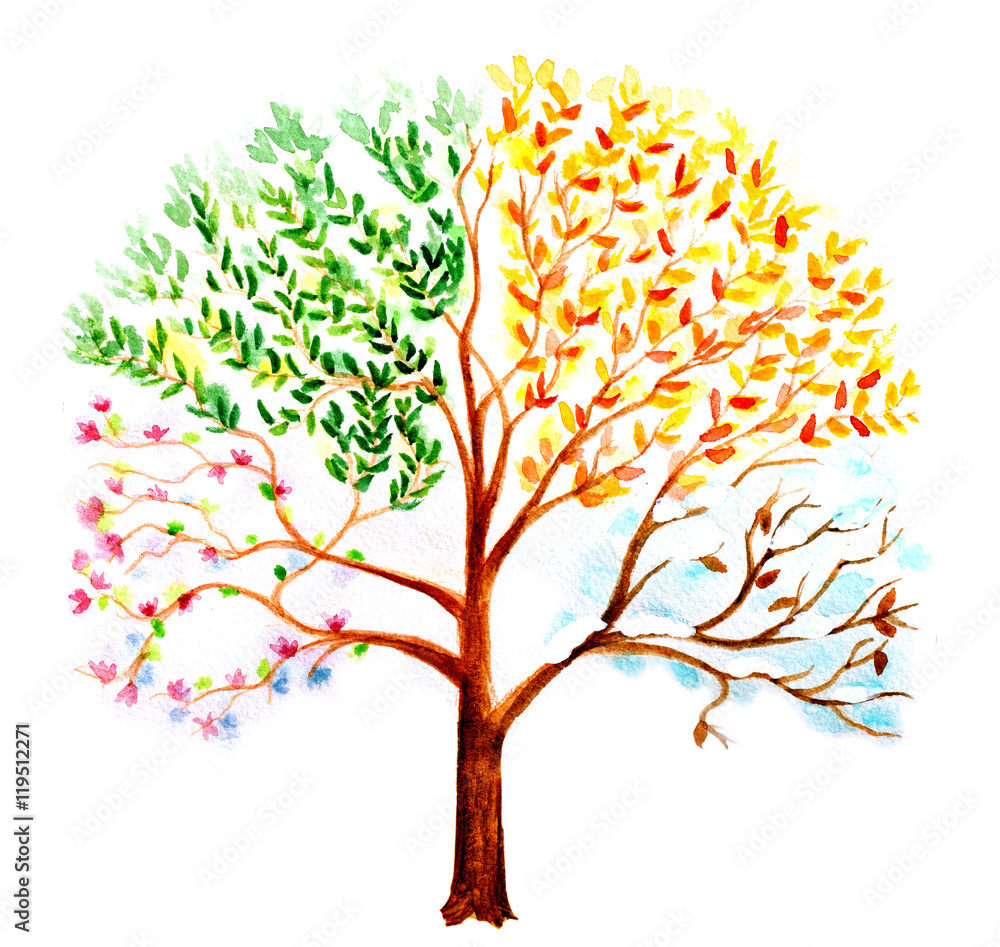 Trees Changing Seasons