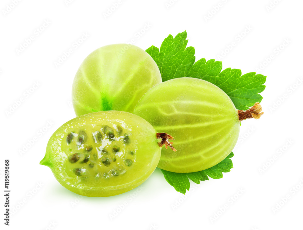 Two and one half fresh ripe green gooseberry berries with leaves ...