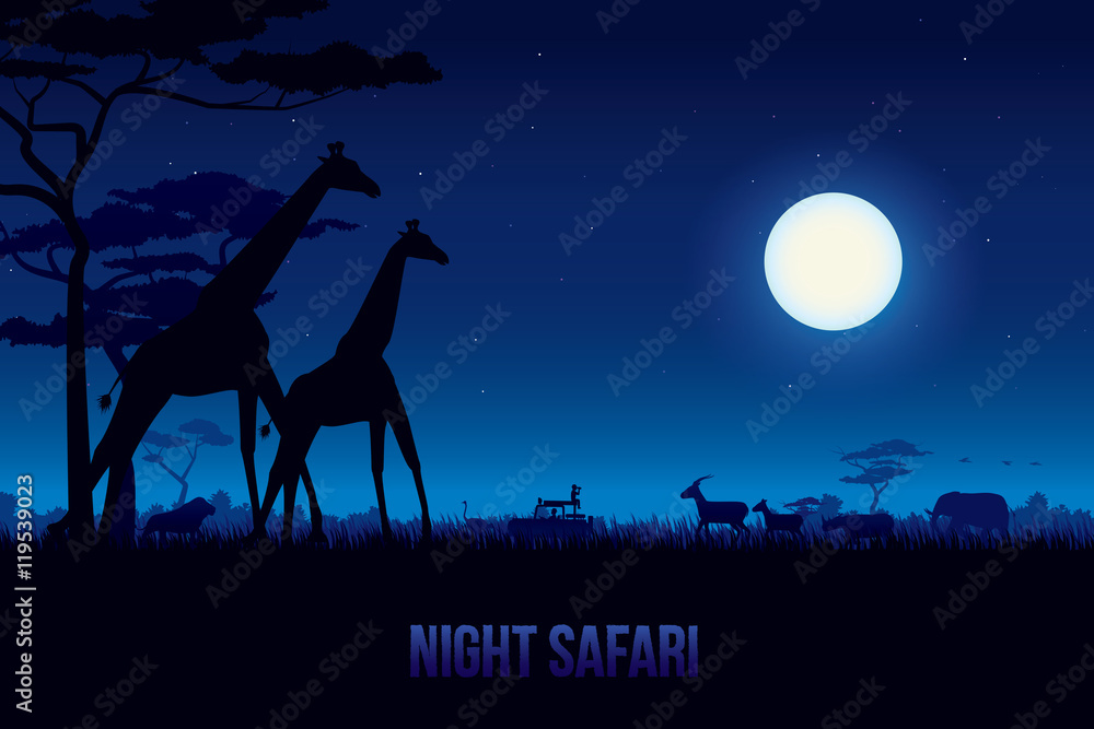 Vector illustration of African landscape with wildlife at night scene ...