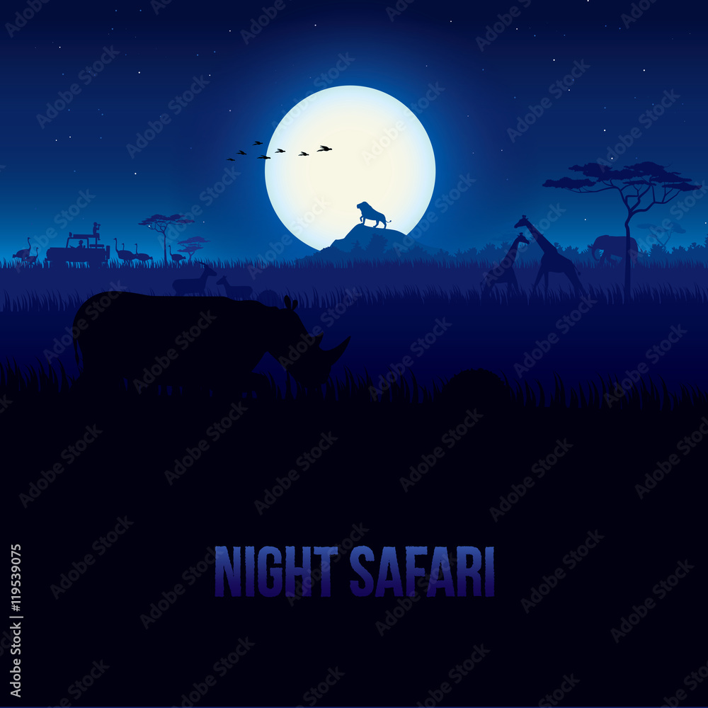 Vector illustration of African landscape with wildlife at night scene ...