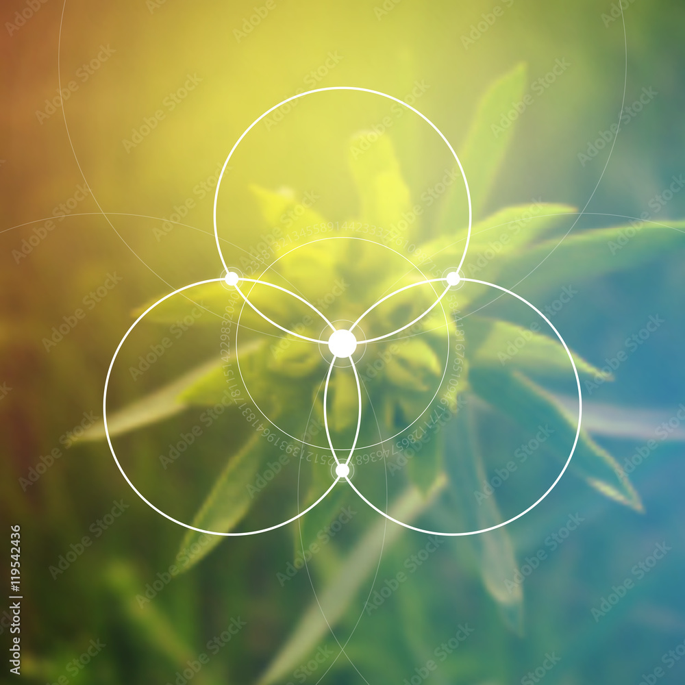 Flower of life illustration- the interlocking circles ancient symbol ...