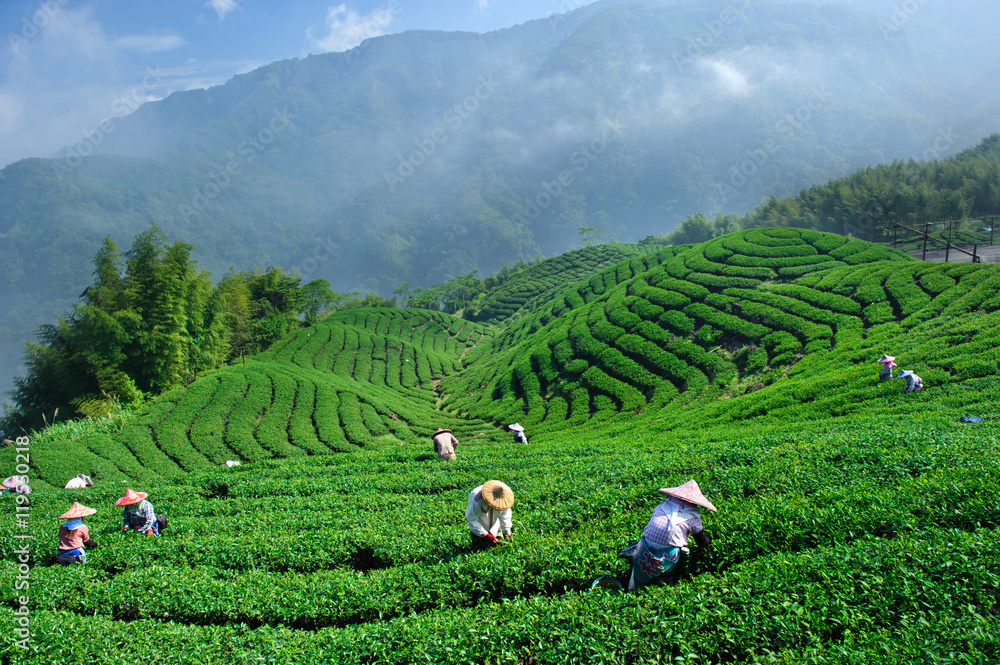 Taiwan Landscape Stock Photo | Adobe Stock