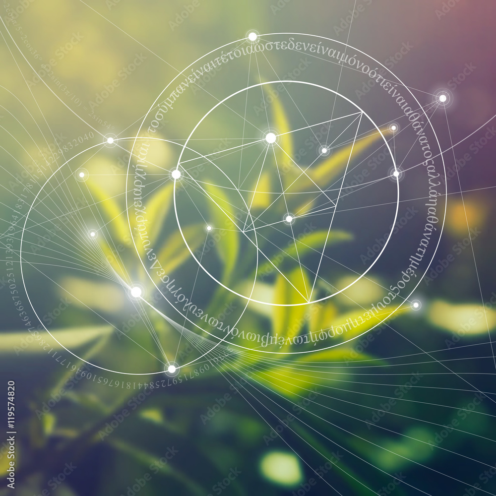 Sacred geometry. Mathematics, nature, and spirituality in nature. The ...