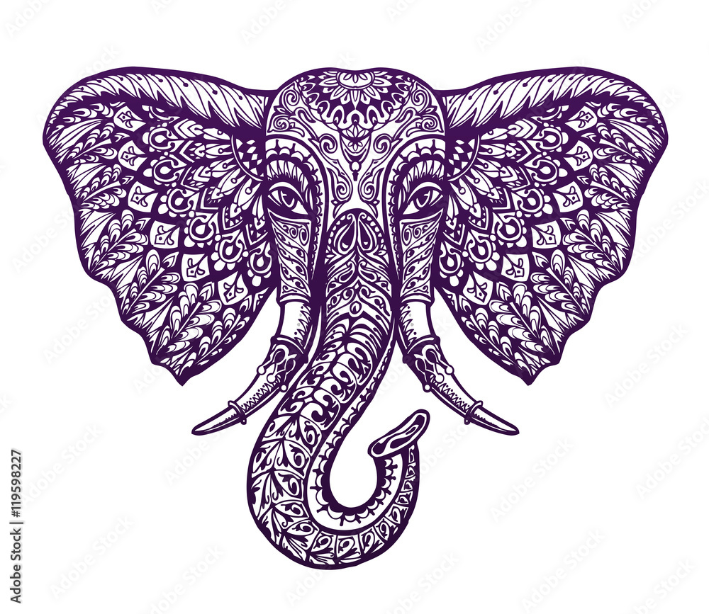 Elephant Front View Vector