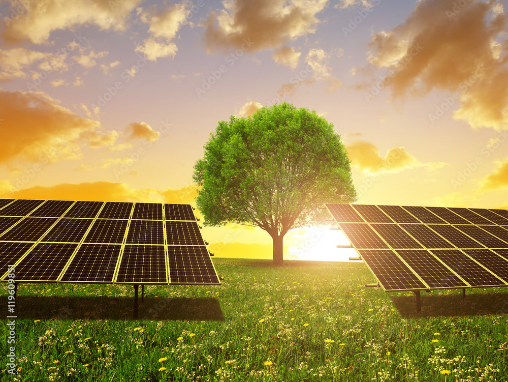 Solar energy panels and tree on meadow at sunset. Sustainable resources ...