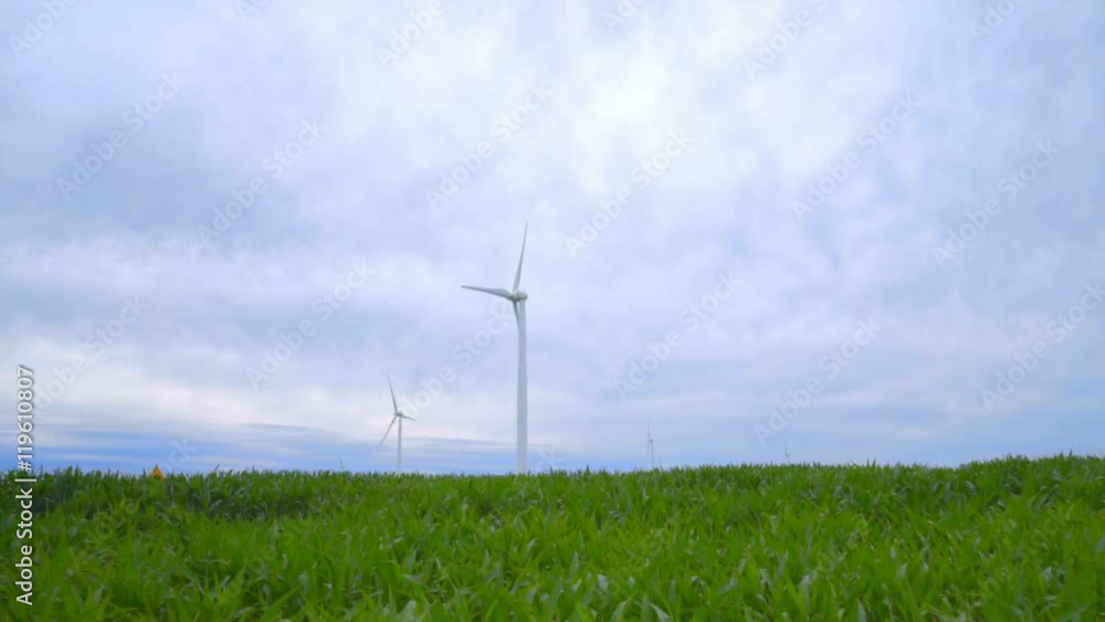Wind farm in green field. WInd turbines farm. Wind technology. Green ...