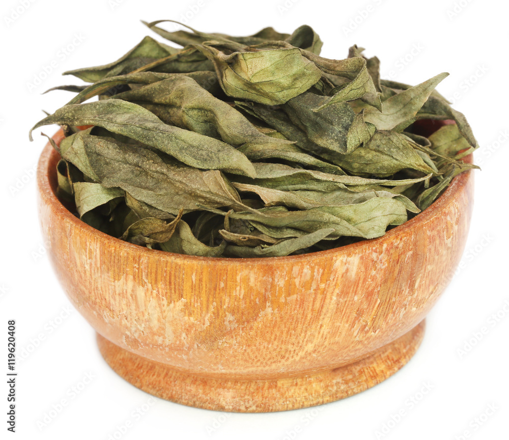 Ayurvedic medicinal Chirata Stock Photo | Adobe Stock