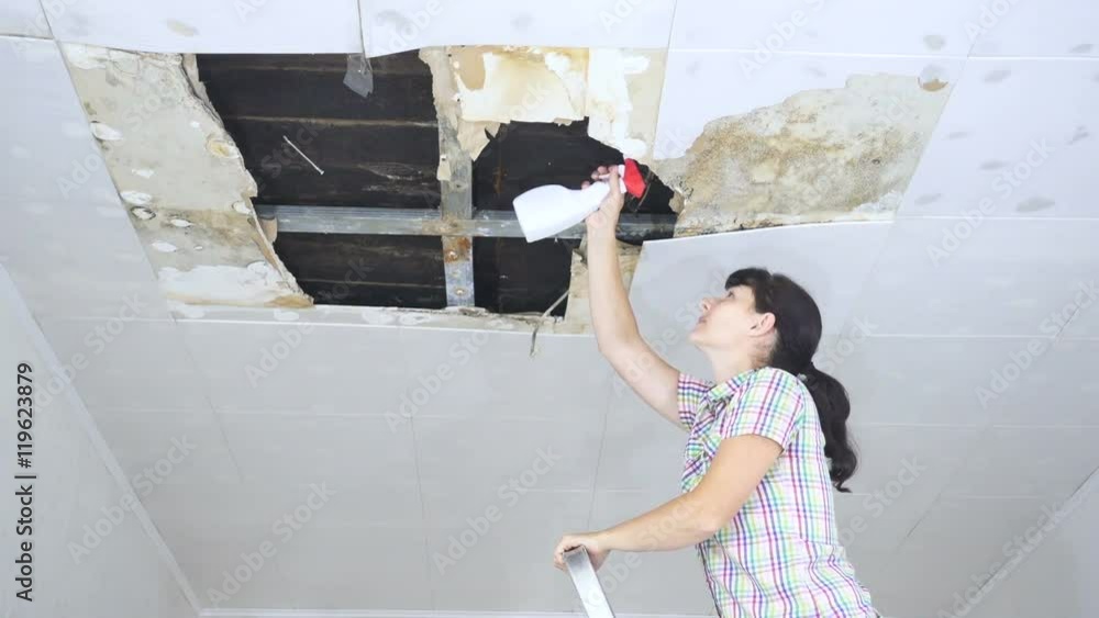 Young Woman cleaning mold on ceiling.Ceiling panels damaged huge hole ...