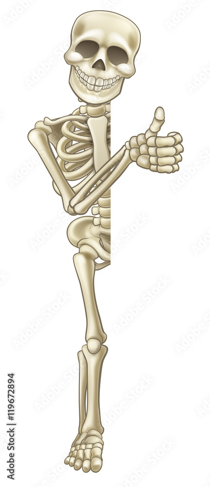 Thumbs Up Cartoon Halloween Sign Skeleton Stock Vector | Adobe Stock
