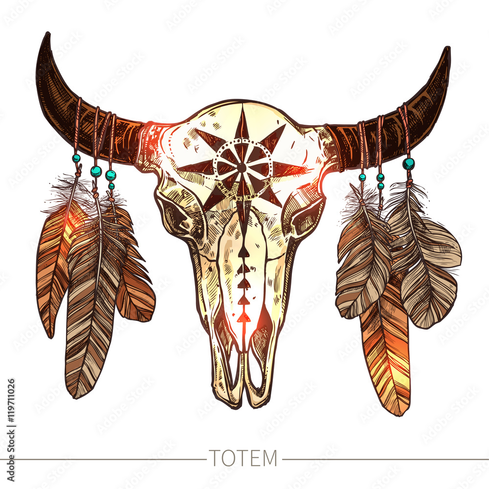 Buffalo Skull With Feathers. Color Illustration. Native American Totem ...
