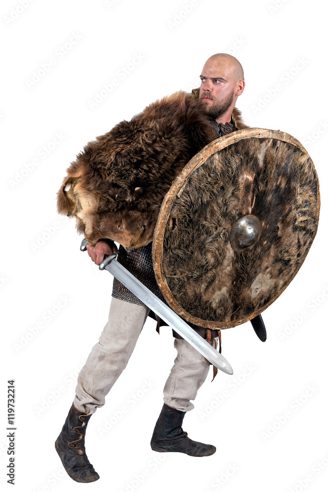 Viking Sword And Shield