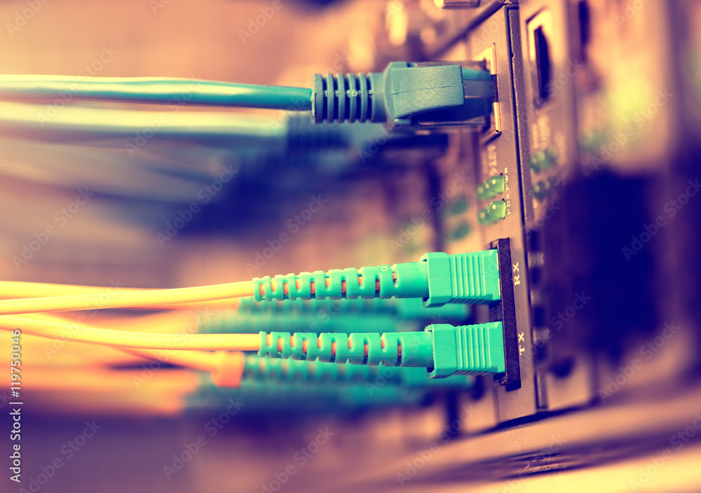Fiber Optic cables connected to an optic ports and Network cable Stock ...